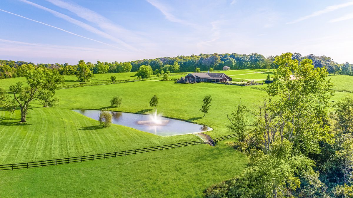 Exclusive Events at Mount Ida Reserve – Mount Ida Farm